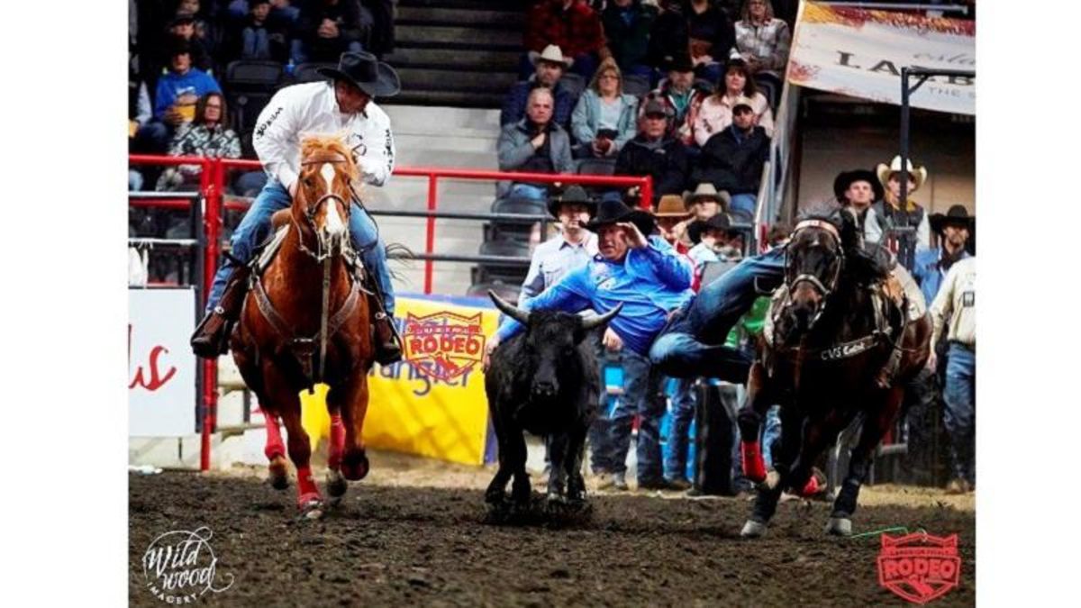 Stellar round of steer wrestling on CFR night two | rdnewsnow.com
