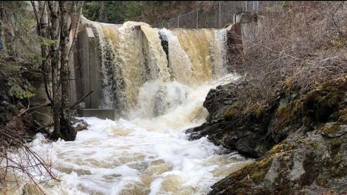 Flood mitigation work in park nears completion | Vernon Matters