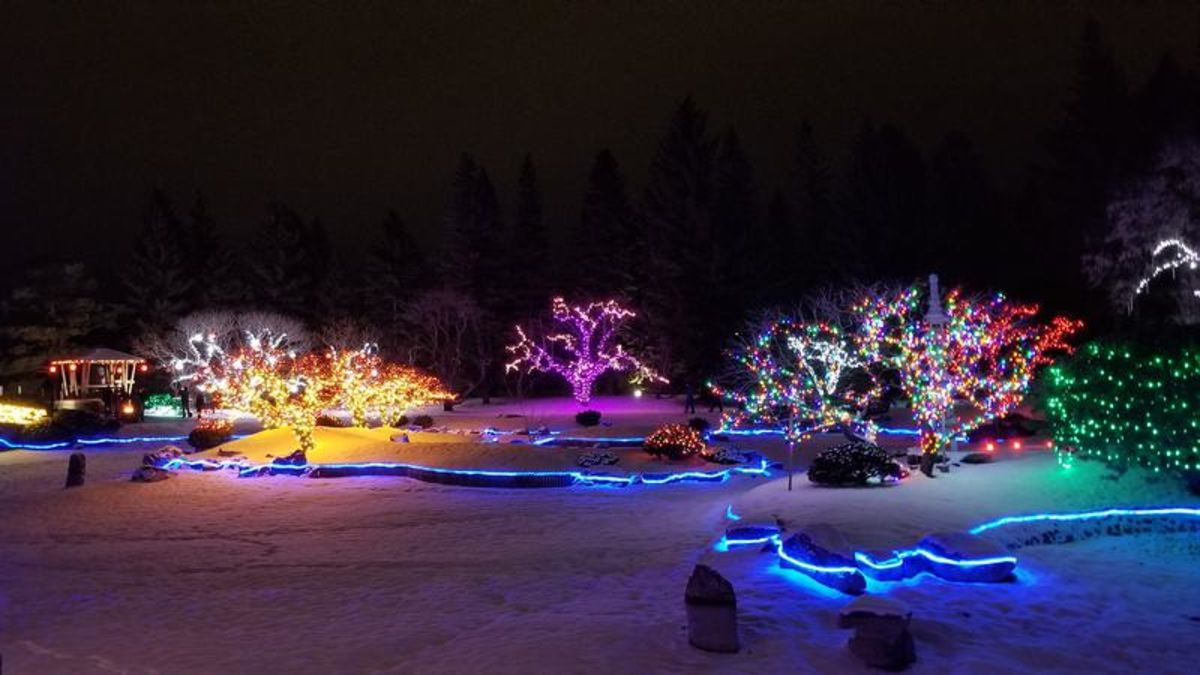 Nikka Yuko and Lethbridge College to launch new video experience this ...