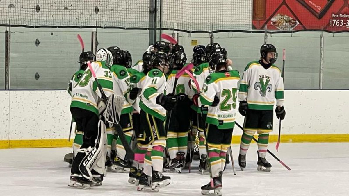 ‘Couldn’t be happier’: Coach of AA hockey team reflects on season so ...