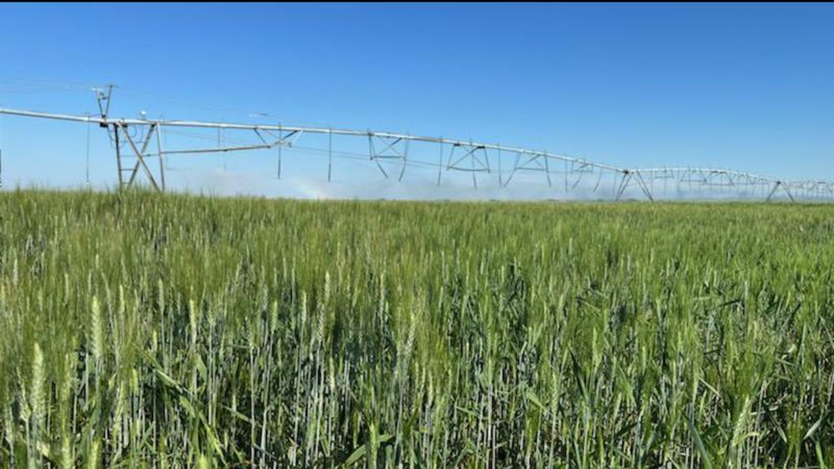 Provincial and federal governments team up to support Alberta’s ...