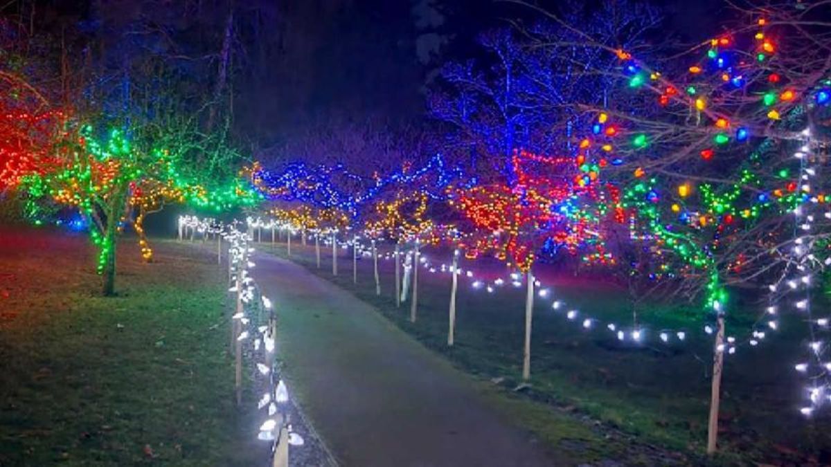 Dazzling Milner Christmas Magic lights display returning to Qualicum ...