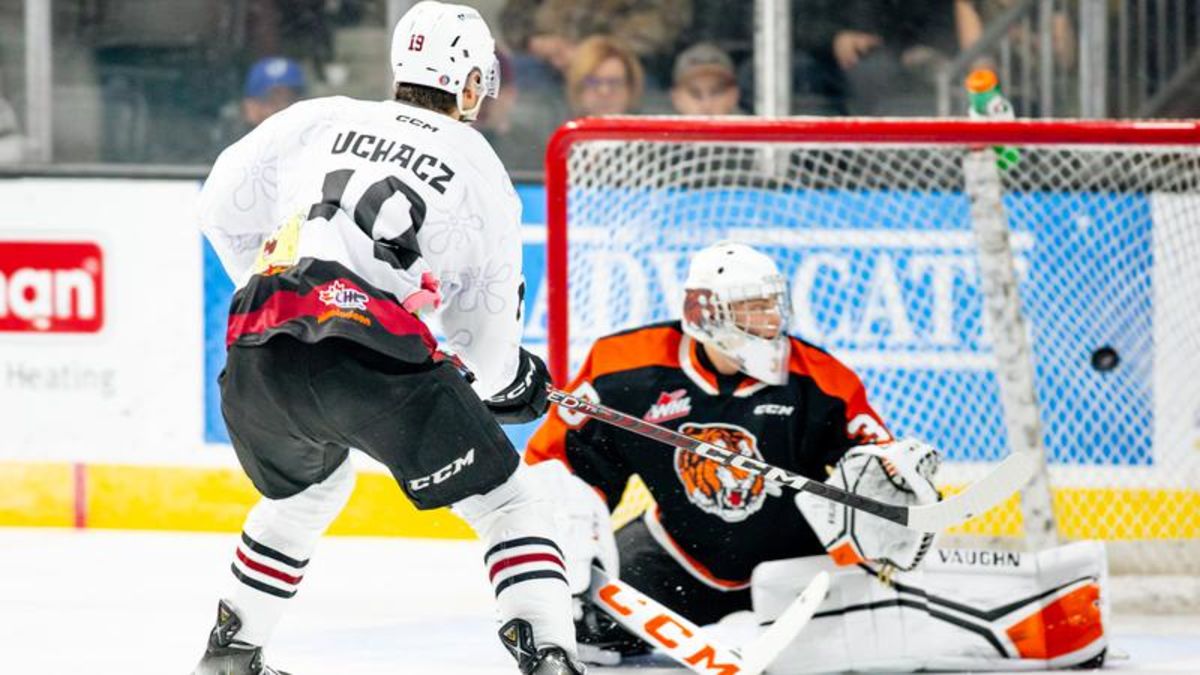 Rebels lose 3-2 in shootout against the Tigers | rdnewsnow.com