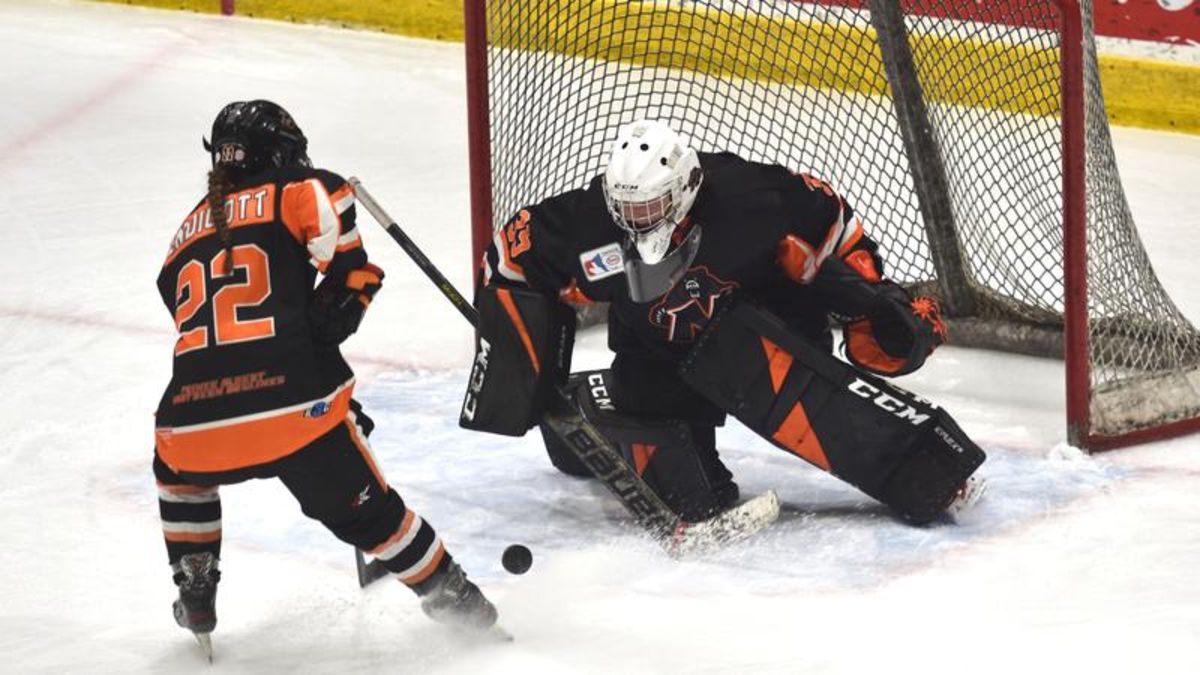 Bears, Hounds split weekend set | paNOW