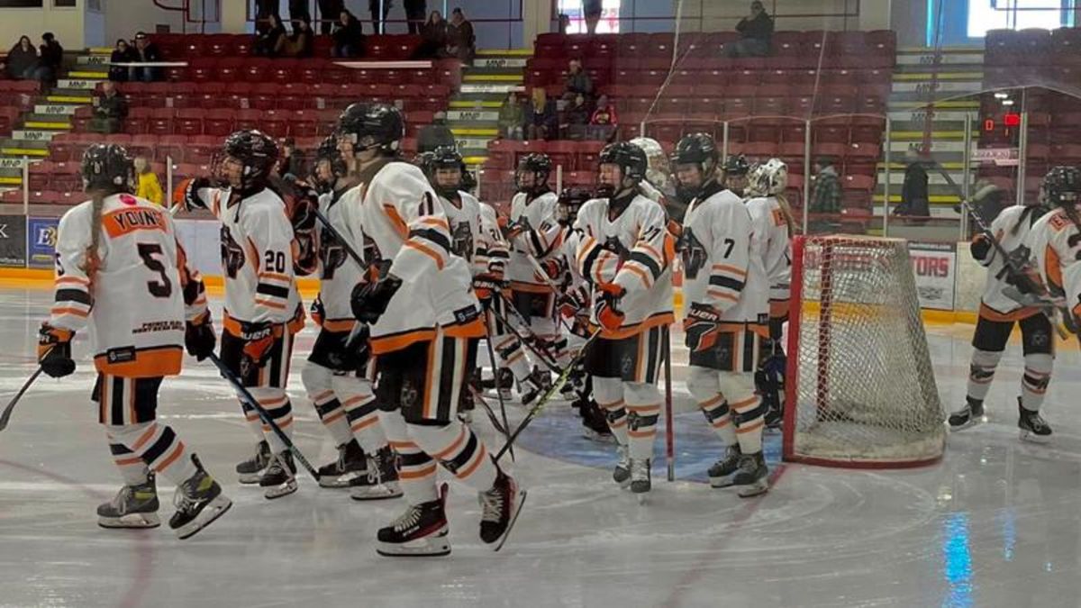 Bears defeat Gold Wings, Hounds in back-to-back games on the road | paNOW