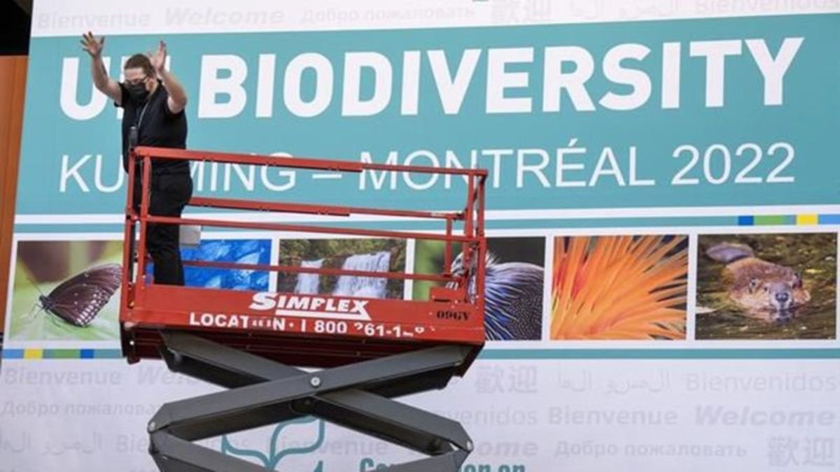 Major biodiversity conference opens in Montreal amid hope of hard ...