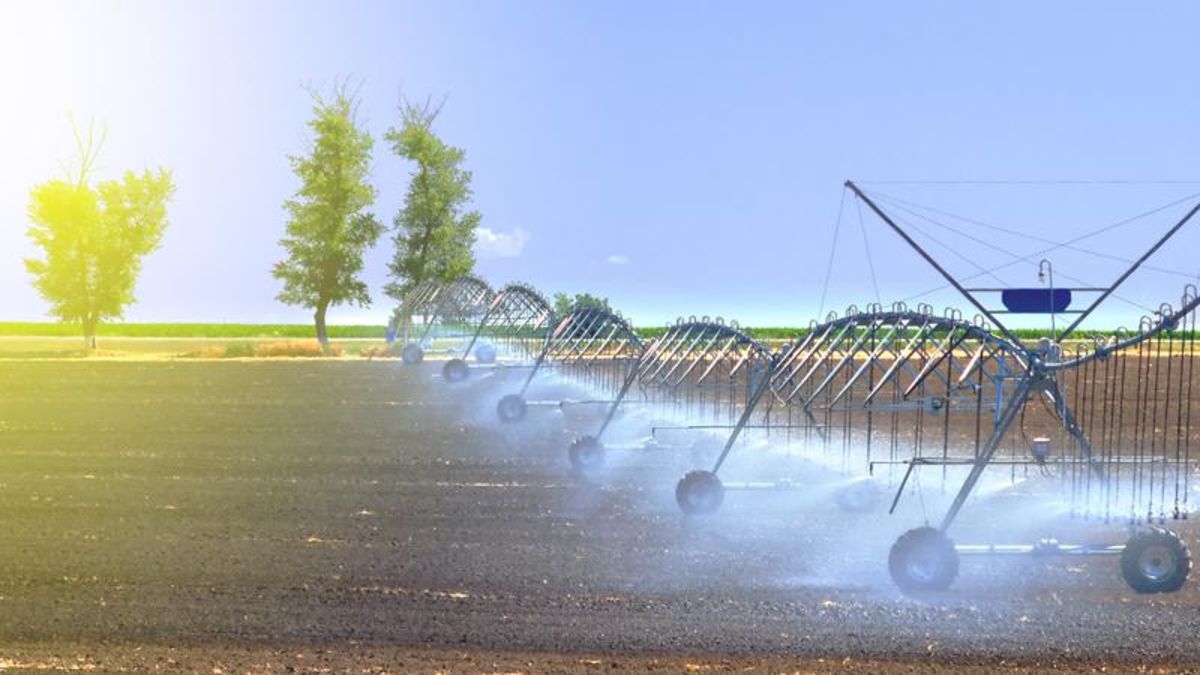 Potential expansion of irrigation in east-central Alberta could be ‘a ...