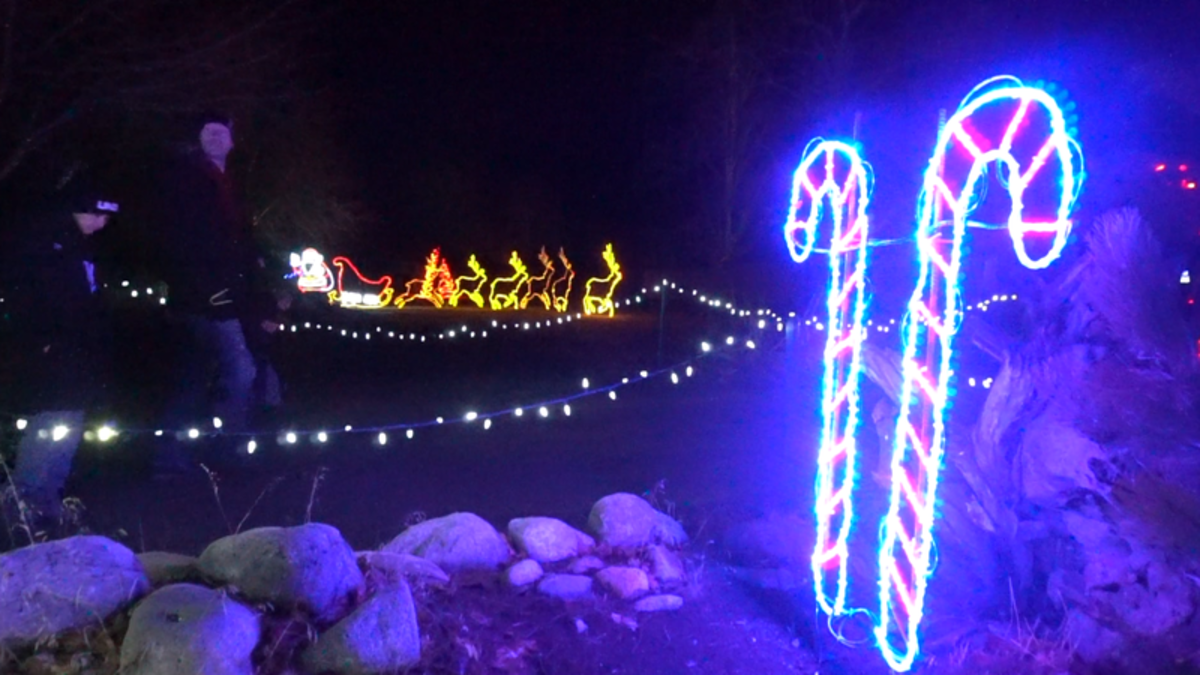 Wildlights is back for its 25th season at the BC Wildlife Park | CFJC ...
