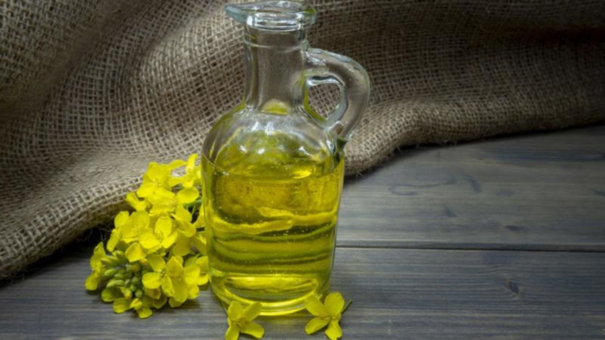 Changes to US Renewable Fuel Standard to help Canadian canola growers ...