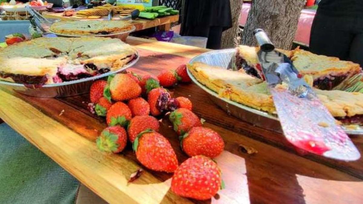 Producers can now register for Alberta Open Farm Days 2023 | rdnewsnow.com