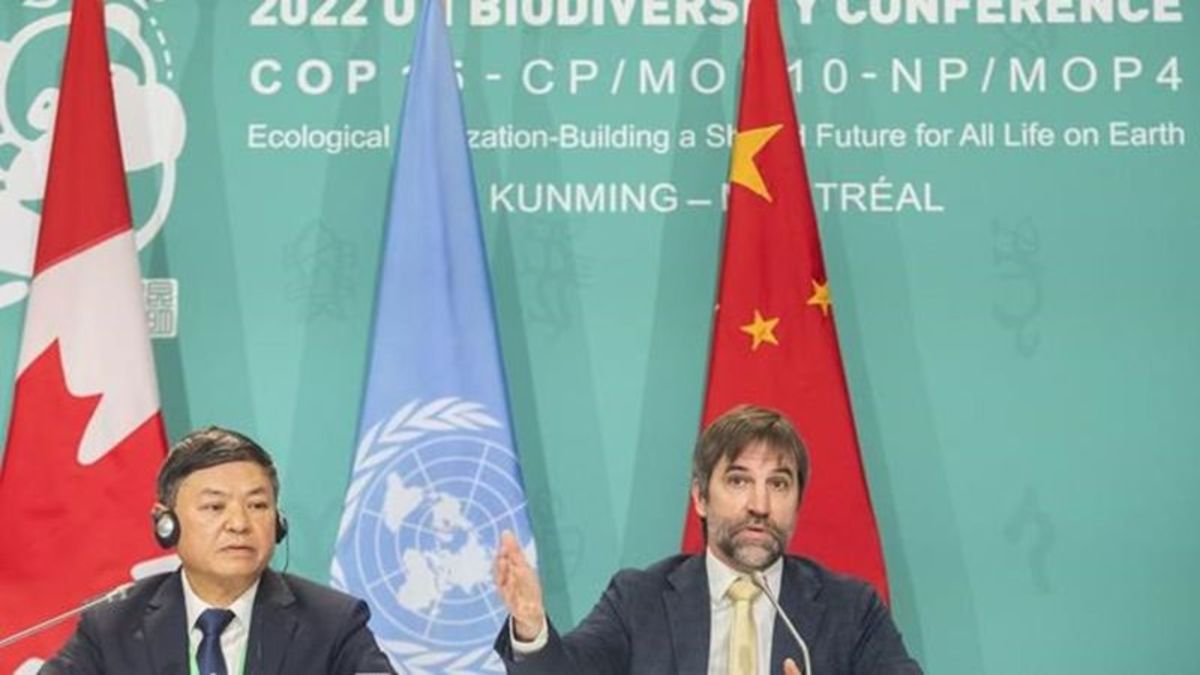 Focus turns to financing in final days of global biodiversity ...