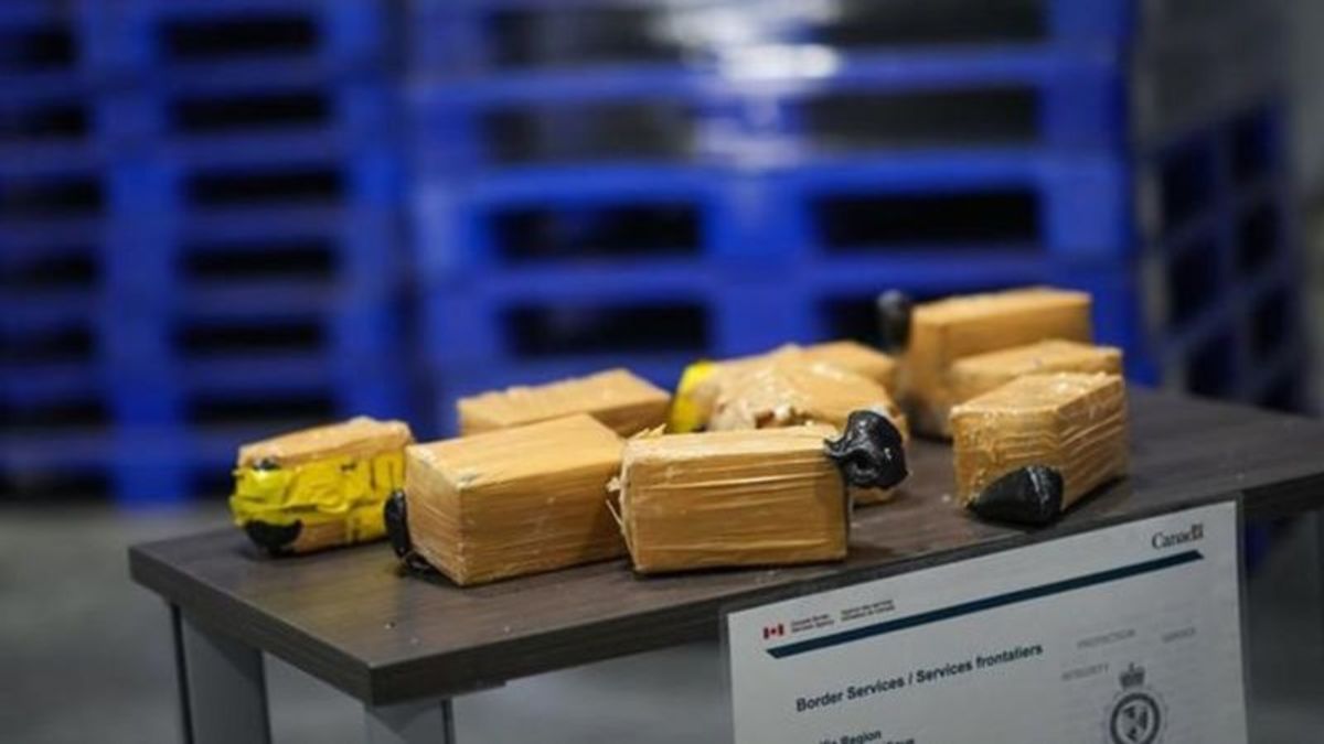 Record amount of opium found in Vancouver marine containers: border ...