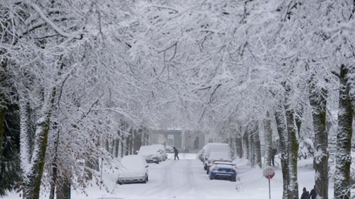 Cold and more snow in store for southern B.C. | Vernon Matters