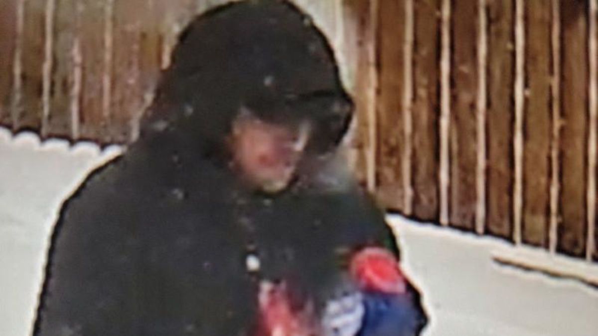 Police asking for your help to identify man suspected in vehicle entry ...