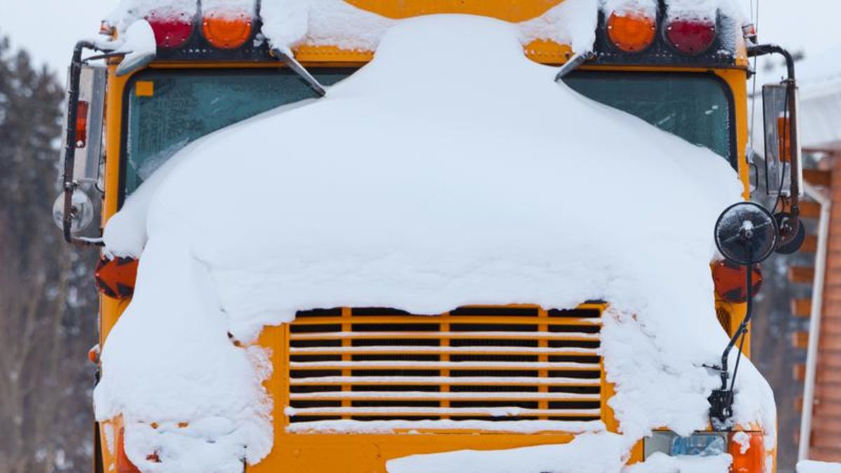 School Bus Cancellations | EverythingGP