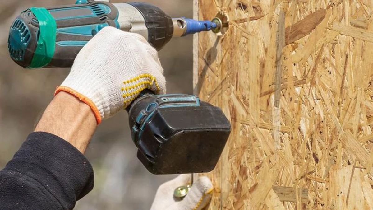 Company behind new OSB plant looks forward to 2023 | paNOW