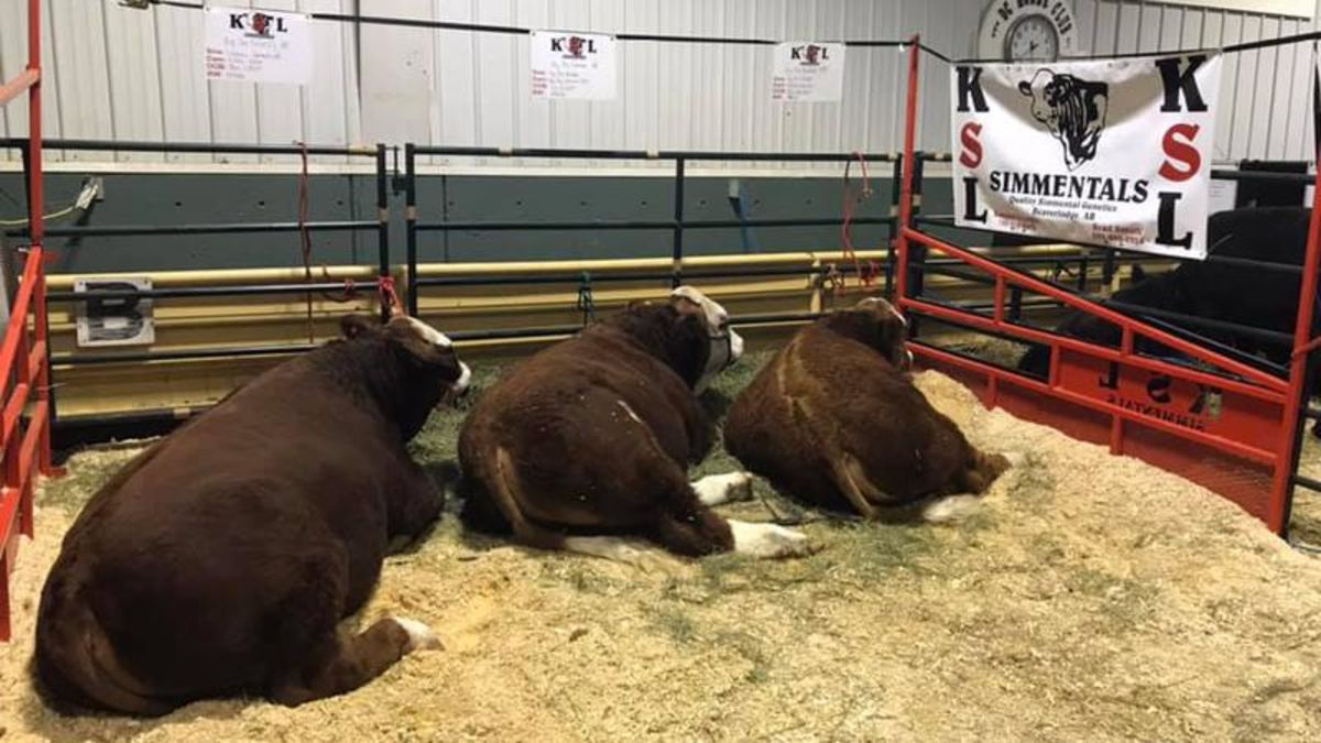Peace Country Beef Congress set for Friday and Saturday | paNOW