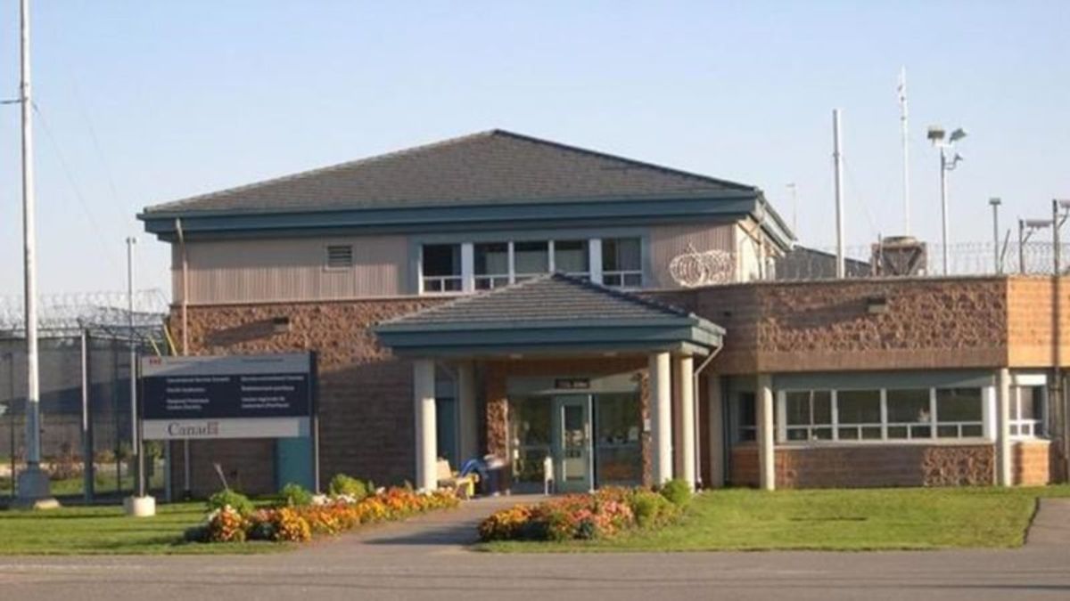 Pigeon with meth backpack caught in B.C. prison yard, says officers ...