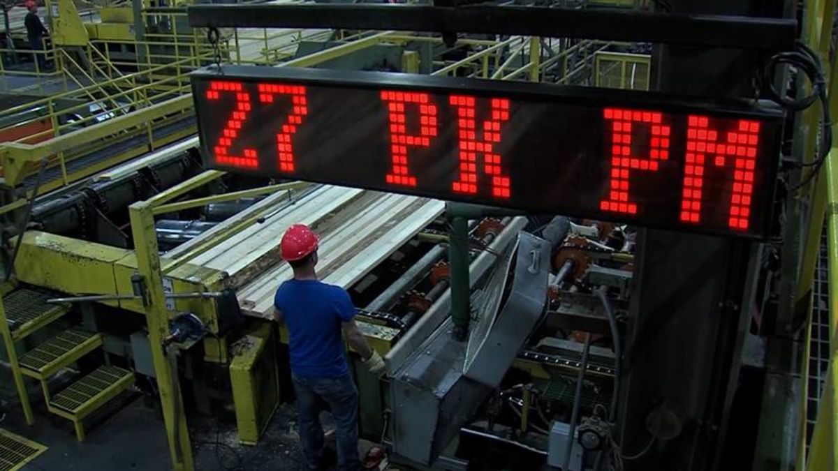 Forestry policy under fire following announcement of PG Pulp Mill ...