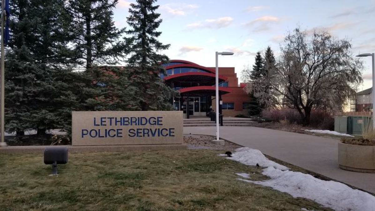 Pedestrian struck by transit bus in downtown Lethbridge | Lethbridge ...
