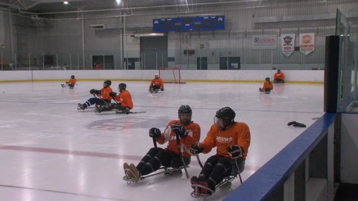 Sledge hockey in Medicine Hat hits milestone with inaugural Larry Godin ...