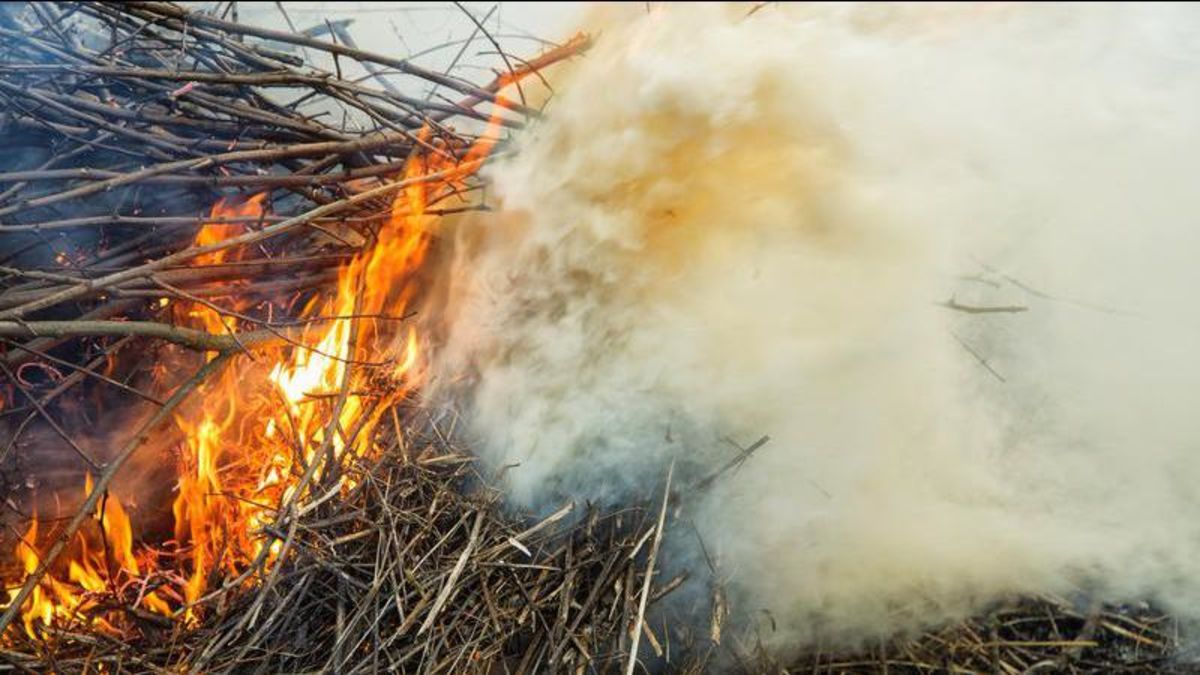 Wildfire work creating smoke | Vernon Matters