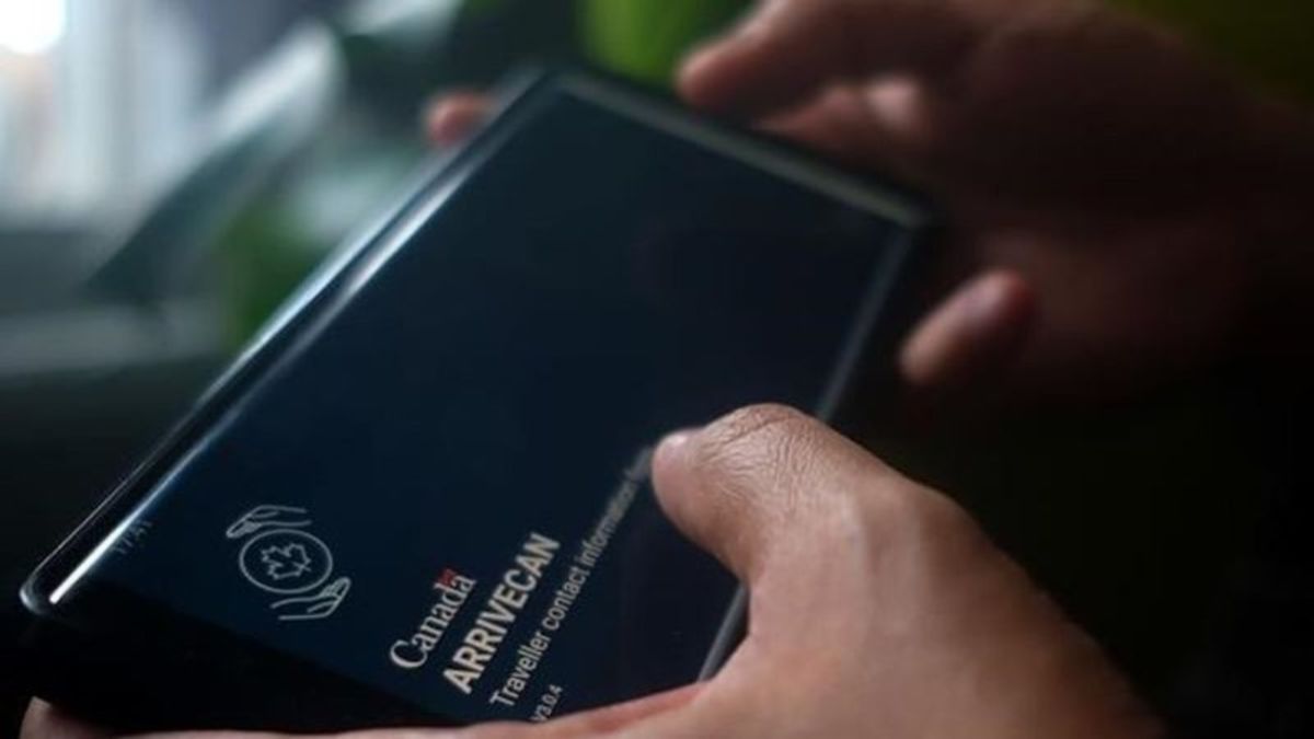 Subcontracting ArriveCan development ‘seems highly illogical and ...