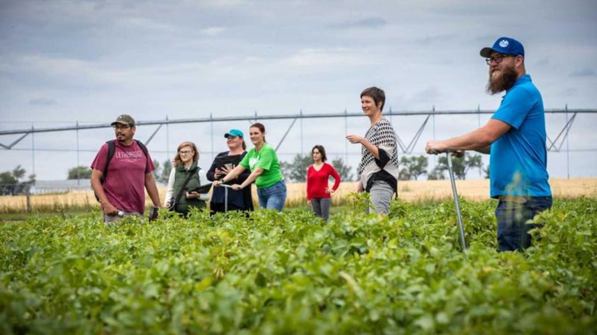 Lethbridge College rises in ranking of Canada’s top research colleges ...