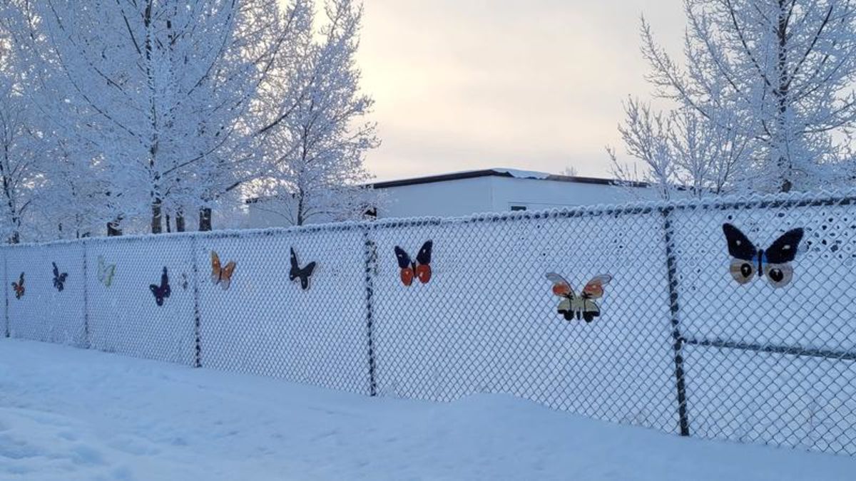Communities in Bloom are celebrating 20 seasons | northeastNOW