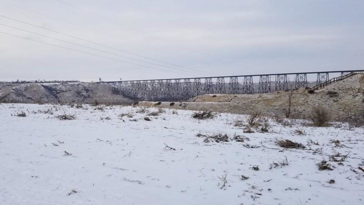 Albertans staying active in cold weather with Winter Walk Day ...