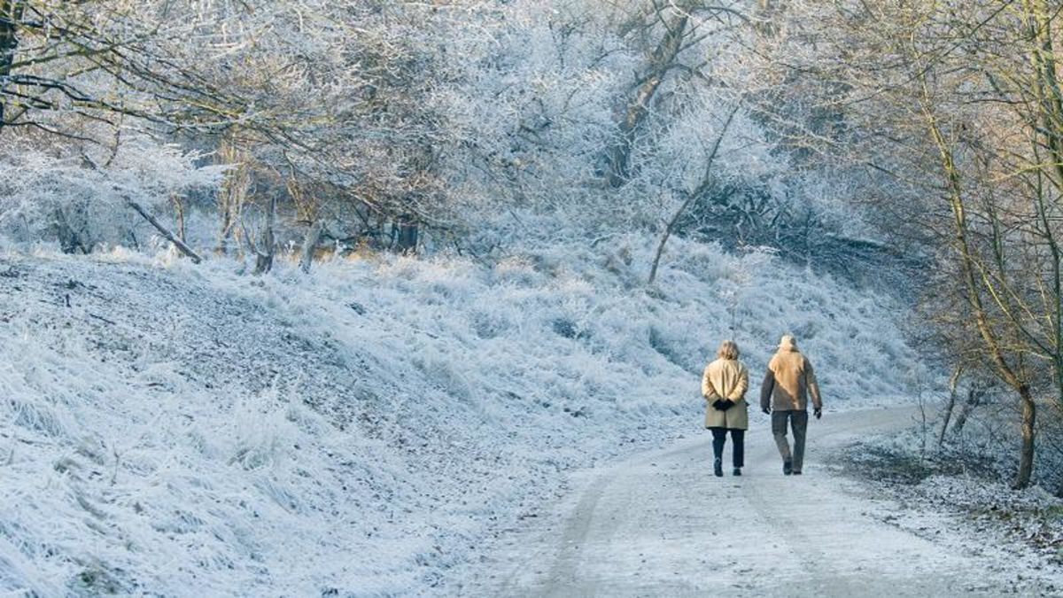 Albertans staying active in cold weather with Winter Walk Day ...