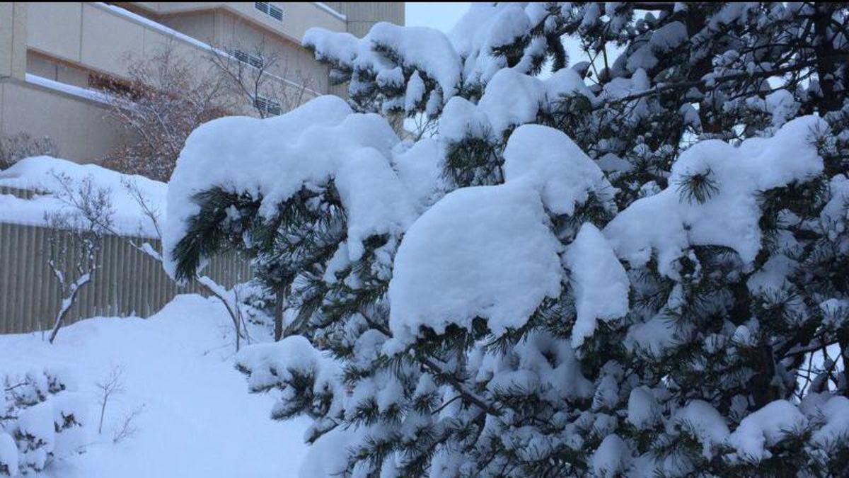 Up to 35 cm of snow expected by Thursday | EverythingGP