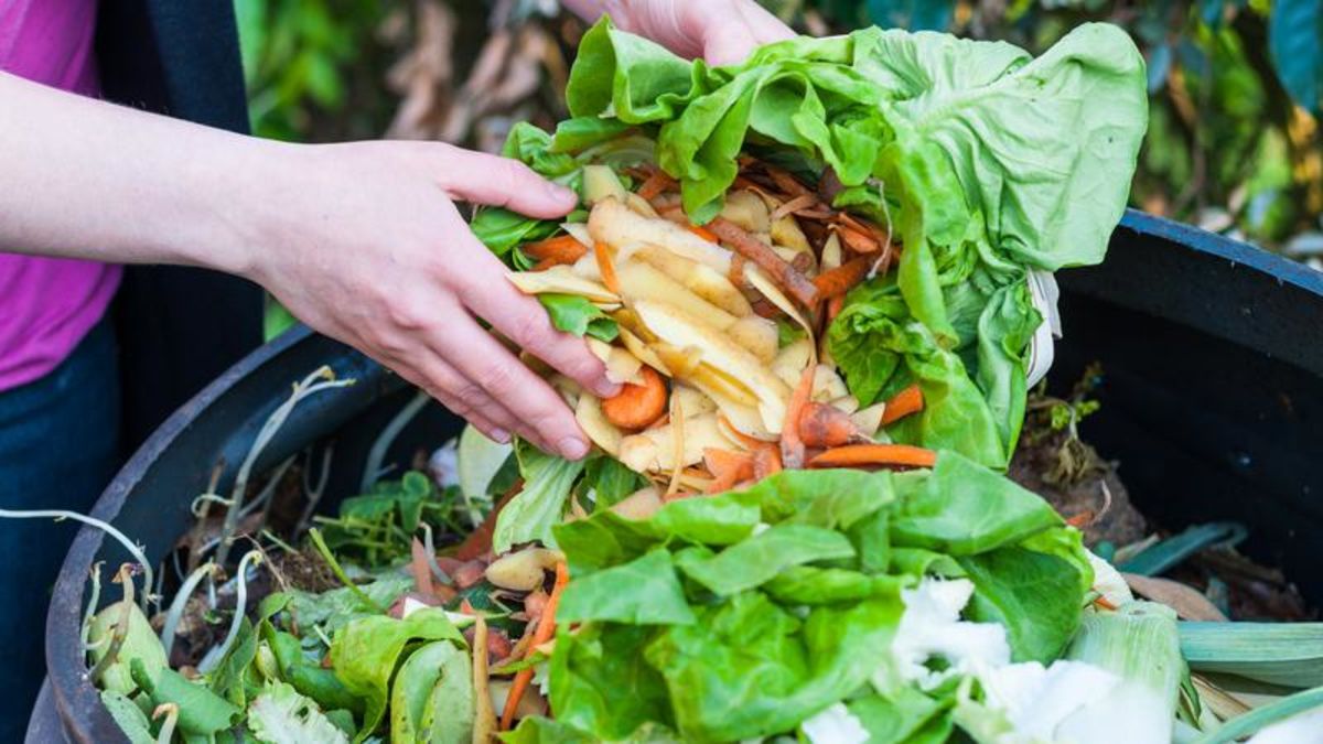 Waste reduction projects get ‘green’ light | Vernon Matters