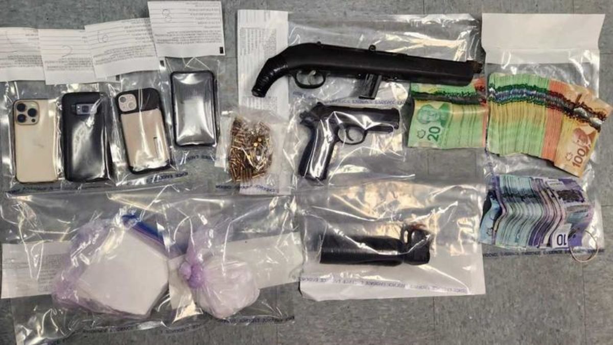 Over $60,000 worth of cocaine found at Prince Albert home | paNOW