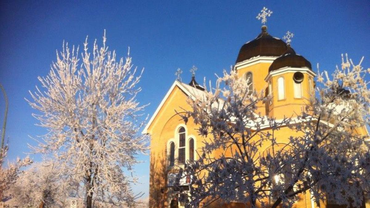 With family back home, P.A. woman works hard to support Ukraine | paNOW