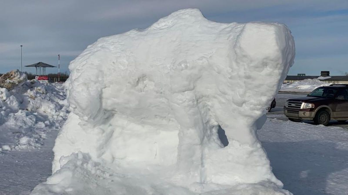 Prince Albert Winter Festival gears up for 59th installment | paNOW