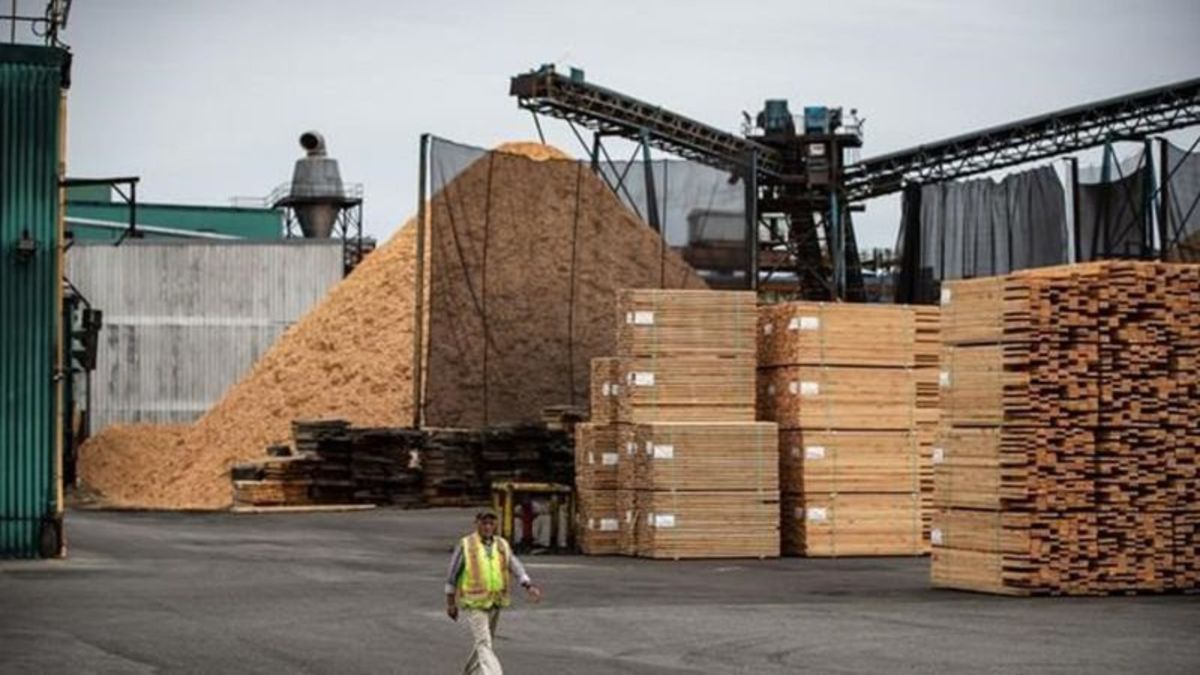 B.C. lumber industry on edge after Biden ups the ante on Buy American ...