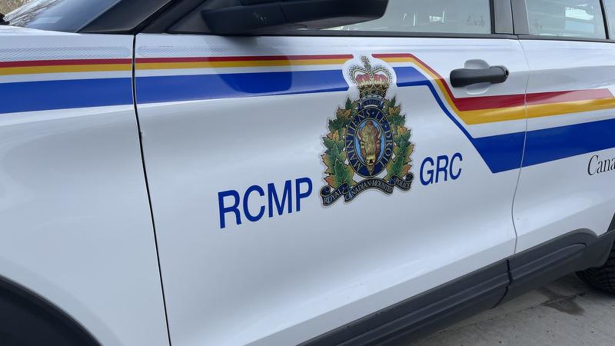 RCMP searching for suspect in fatal collision near Fort Macleod ...