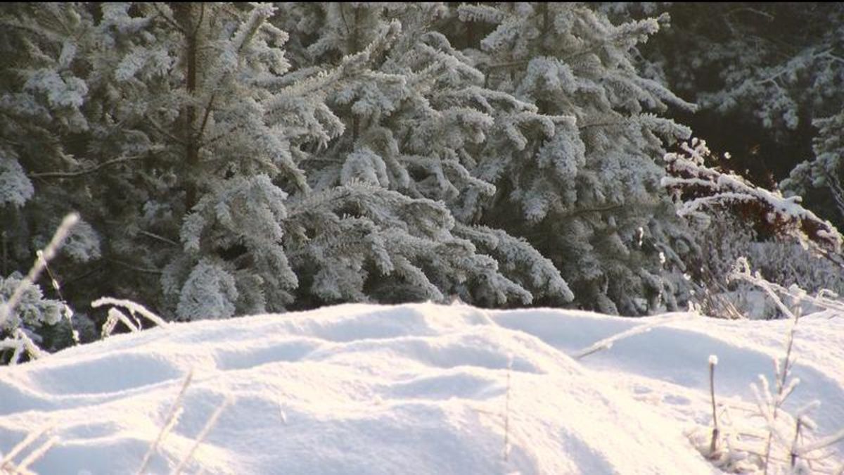 Weekend avalanche claims two lives south of Tatla Lake | CKPG Today