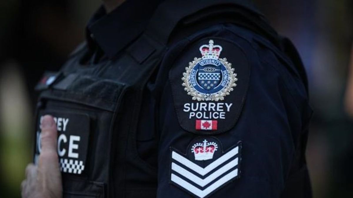 Surrey police chief wants audit of city’s ‘inflated and ...