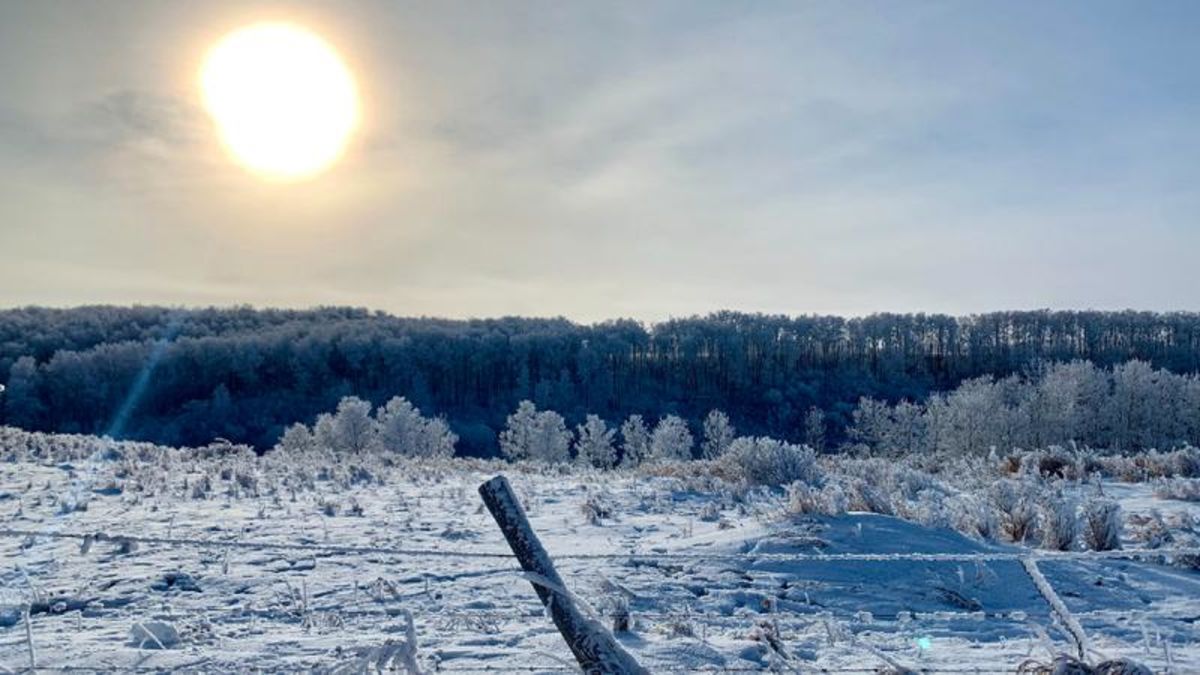 Extreme cold warnings issued for parts of Saskatchewan | paNOW
