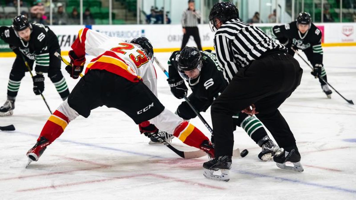 Dinos push semi-final to the limit with two goal victory over Huskies ...