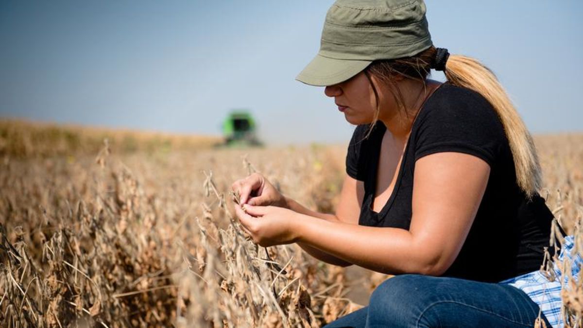 Saskatchewan crop insurance program adjustments | farmnewsNOW