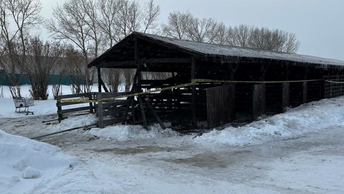 Equine group worried about future horse events in P.A. after stable ...