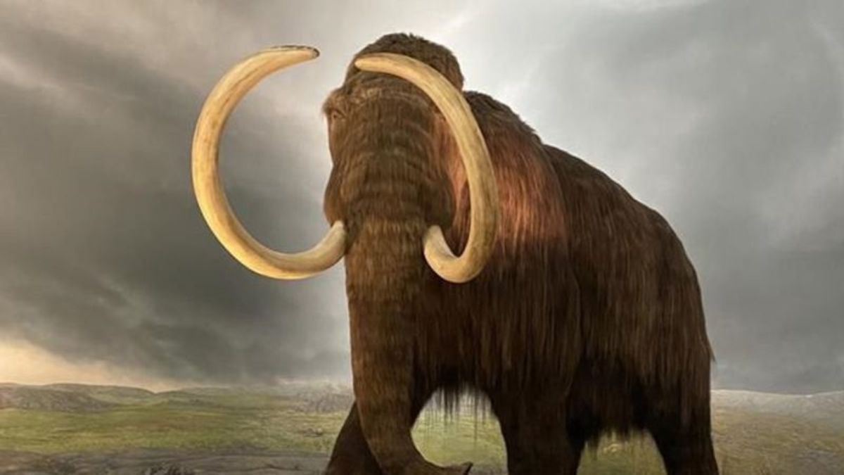 Climate activists splash Royal B.C. Museum’s mammoth ‘Woolly’ with pink ...