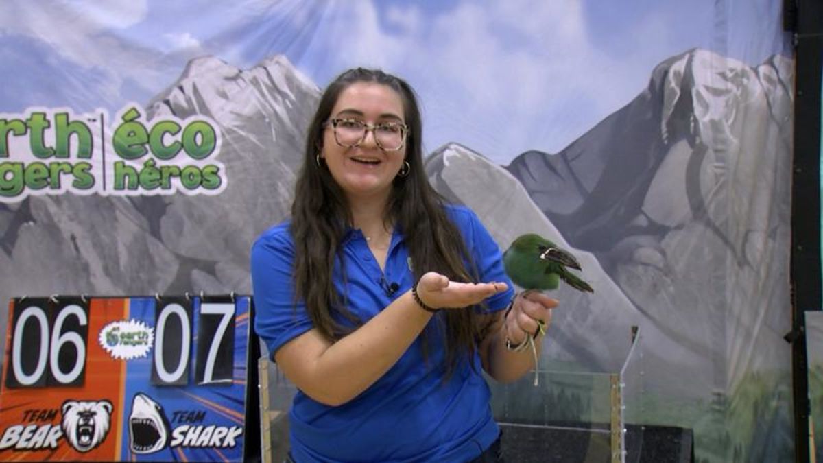 Flying owls and dropping jaws: Earth Rangers wow McGowan Park ...