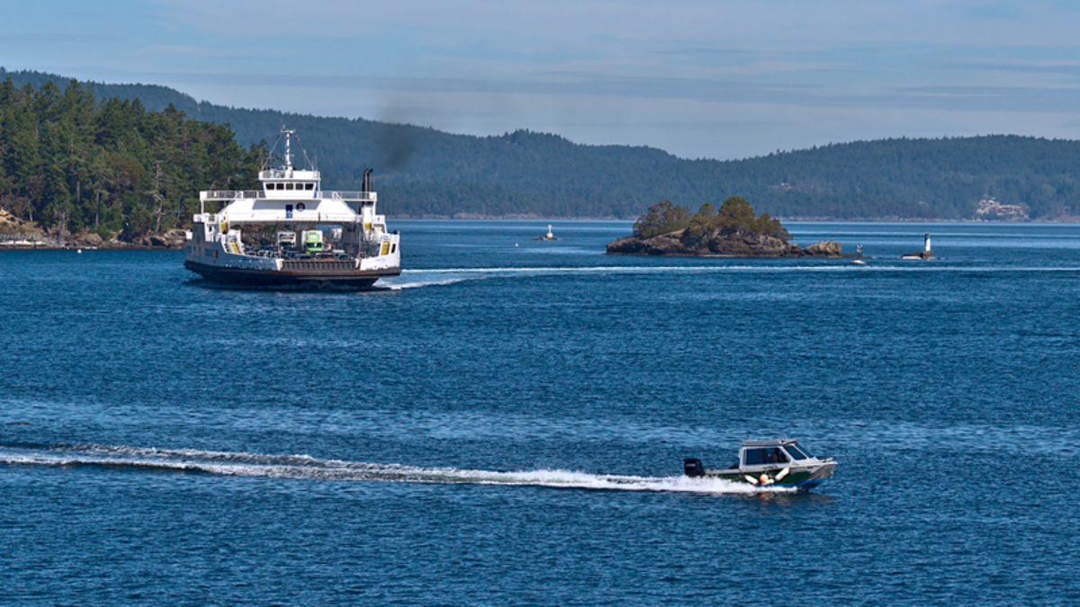 ‘People try and beat the ferries:’ irresponsible boat operators causing ...