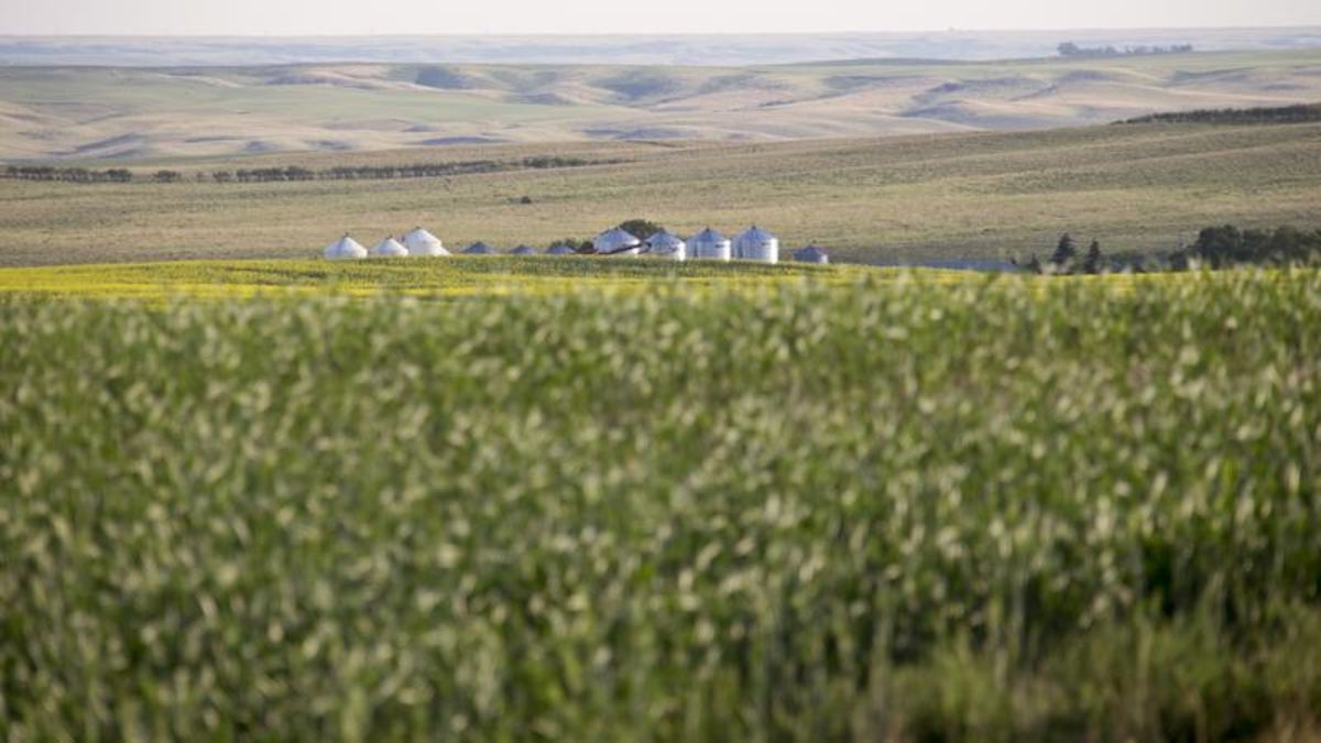 Value of farmland increased in 2022 across country | paNOW