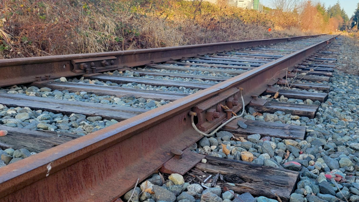 ‘There is much work to be done:’ Snaw-Naw-As First Nation celebrating ...