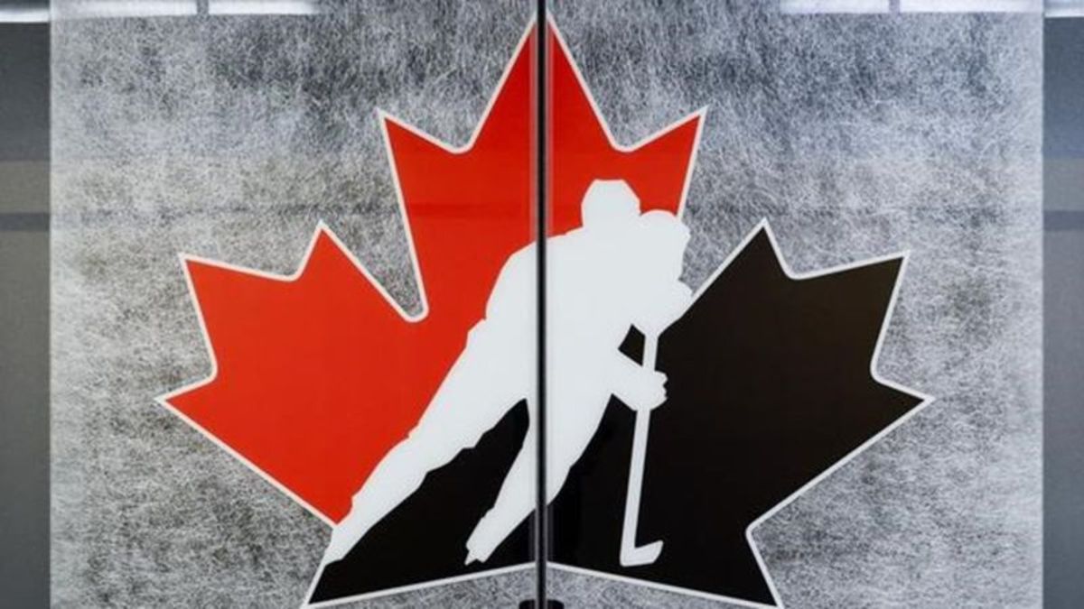 Hockey Canada hires human rights leader as first vice-president ...